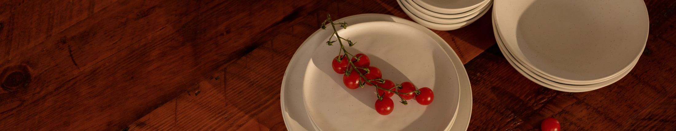 Dinnerware | Fable Home